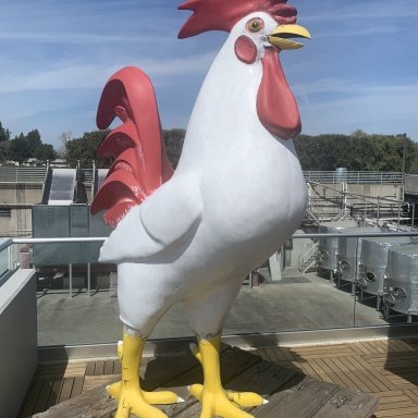 2012 Audi A5 2.0t Misfire Issues | Ross-Tech Forums