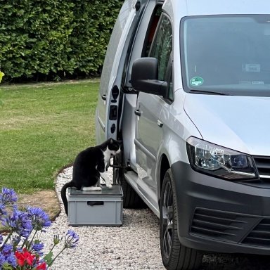 D_Satter | Ross-Tech Forums