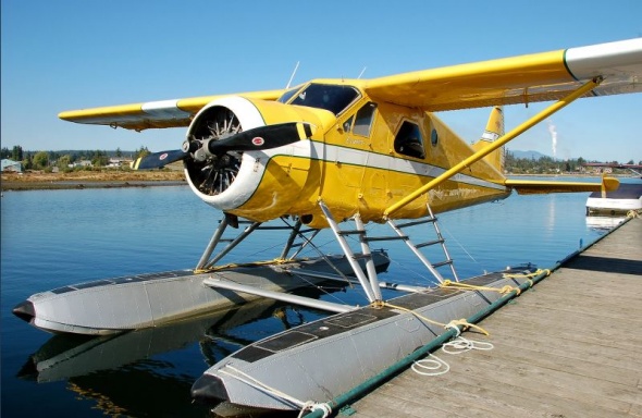 Jollydet | Ross-Tech Forums