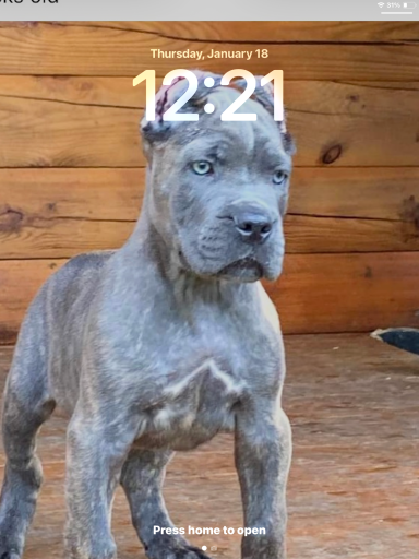 Kevin8449 | Ross-Tech Forums